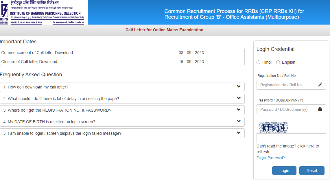 IBPS RRB Clerk Mains Admit Card 2023 Out, Download Link